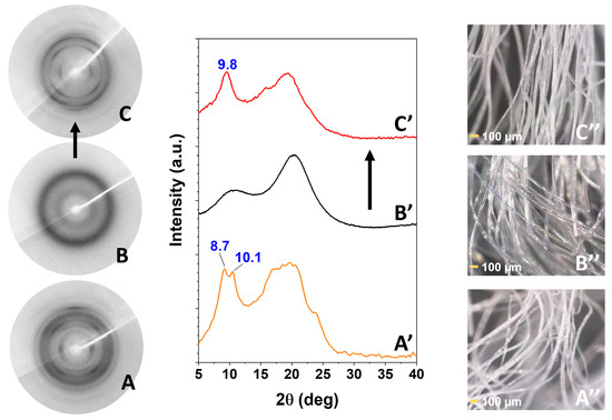 Salicylic Acid Release from Syndiotactic Polystyrene Staple Fibers