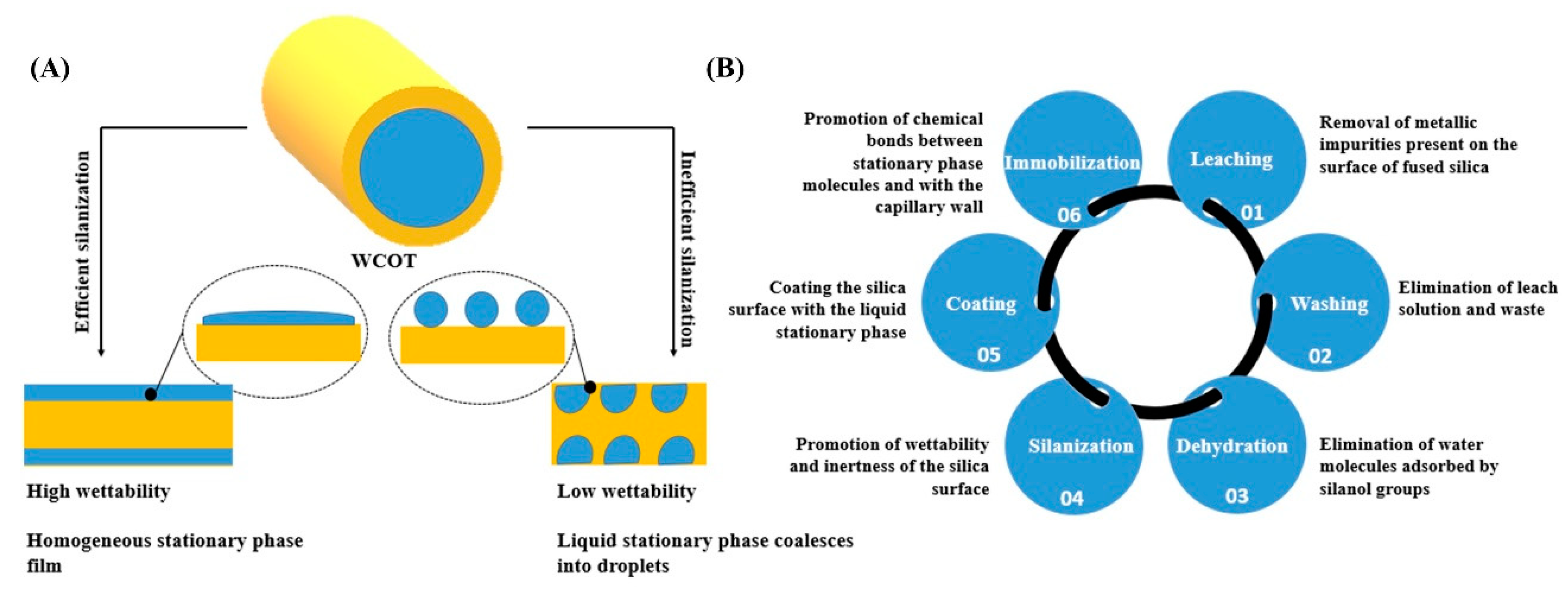 Development of Wall-Coated Open Tubular Columns and Their Application ...