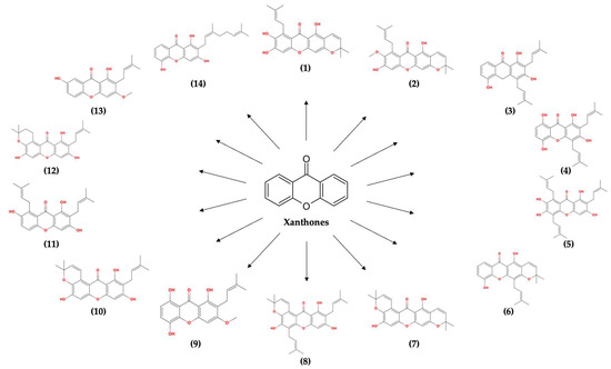 Potency of Xanthone Derivatives from Garcinia mangostana L. for COVID ...
