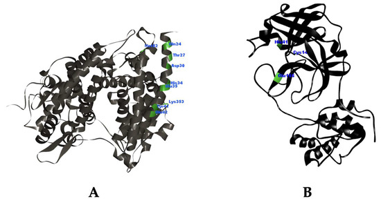Potency of Xanthone Derivatives from Garcinia mangostana L. for COVID ...