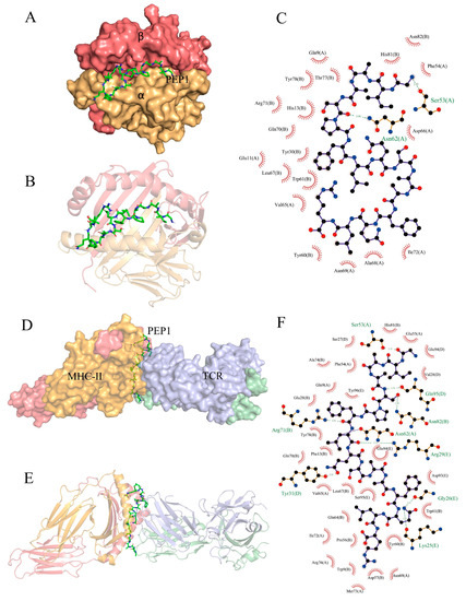 Transcriptome Analysis Reveals the Immunoregulatory Activity of Rice ...