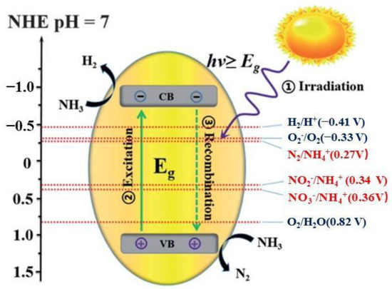 Recent Progress on Hydrogen Production from Ammonia Decomposition ...