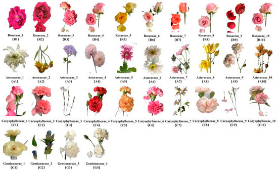 Comprehensive Analysis of 34 Edible Flowers by the Determination of ...