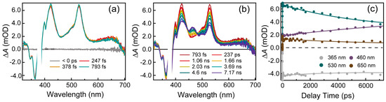 Excited State Kinetics of Benzo[a]pyrene Is Affected by Oxygen and DNA