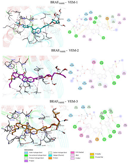 In Silico Studies of Novel Vemurafenib Derivatives as BRAF Kinase ...
