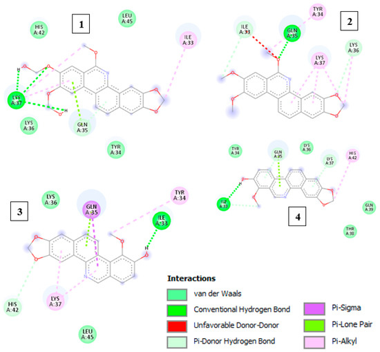Cytotoxicity and Genotoxicity Evaluation of Zanthoxylum rhoifolium Lam ...
