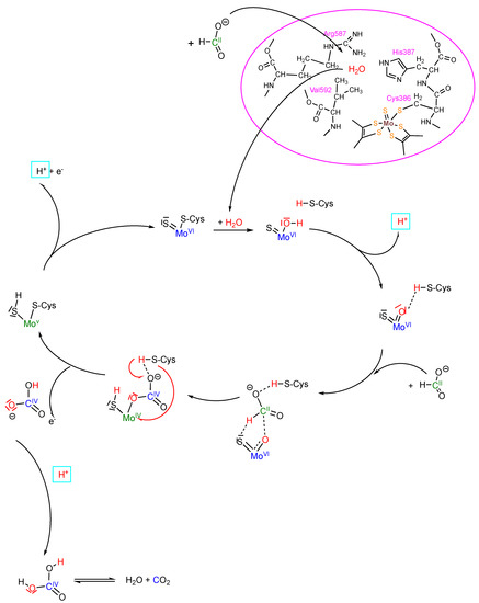 Metal-Containing Formate Dehydrogenases, a Personal View
