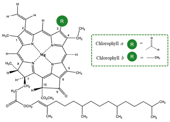 Enhancing Health Benefits through Chlorophylls and Chlorophyll-Rich Agro-Food: A Comprehensive ...