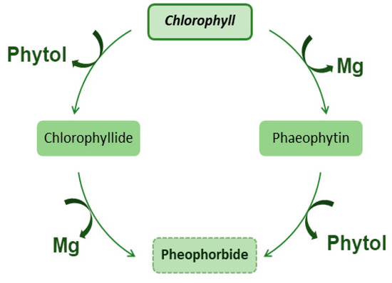 Enhancing Health Benefits through Chlorophylls and Chlorophyll-Rich ...
