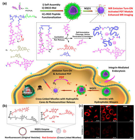 Enzyme-Instructed Aggregation/Dispersion of Fluorophores for Near ...