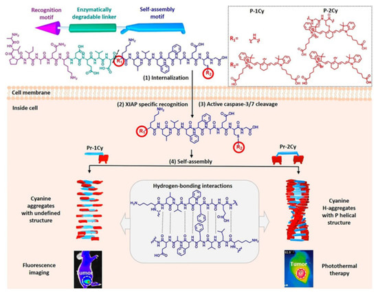 Enzyme-Instructed Aggregation/Dispersion of Fluorophores for Near ...