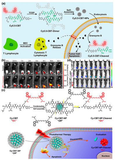 Enzyme-Instructed Aggregation/Dispersion of Fluorophores for Near ...
