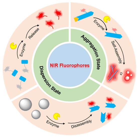 Enzyme-Instructed Aggregation/Dispersion of Fluorophores for Near ...