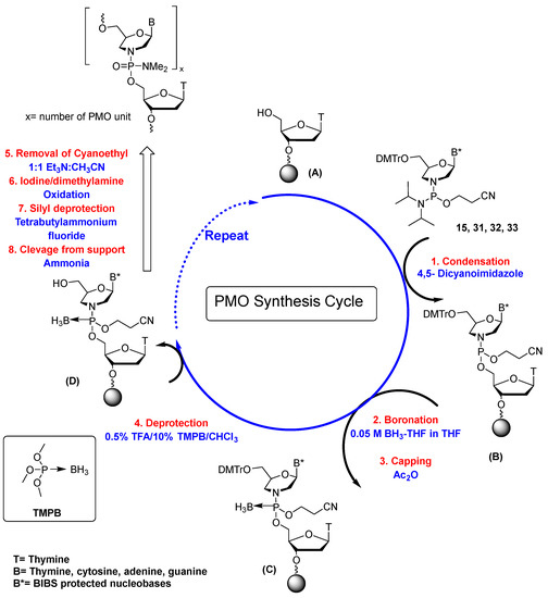 Synthesis of Backbone-Modified Morpholino Oligonucleotides Using ...