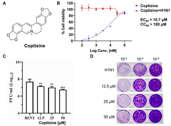 Coptisine Inhibits Influenza Virus Replication by Upregulating p21