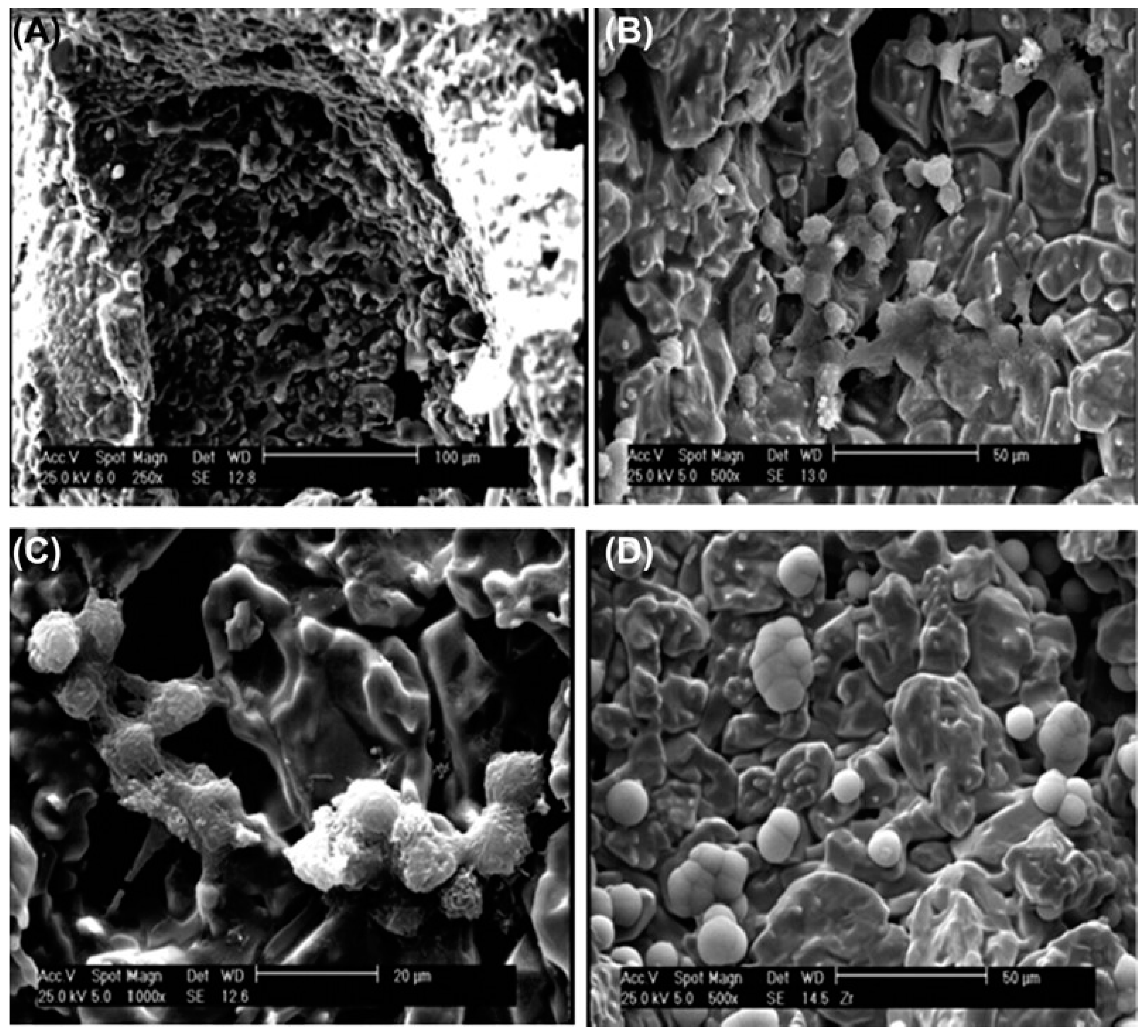 Biomedical Applications of Zirconia-Based Nanomaterials: Challenges and ...