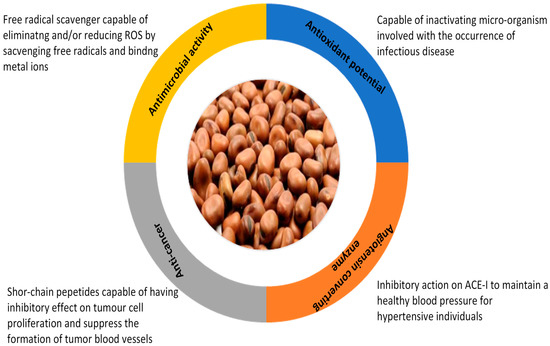 Faba Bean Processing: Thermal and Non-Thermal Processing on Chemical, Antinutritional Factors ...