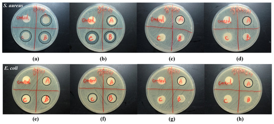 Molecules | Free Full-Text | The Enhanced Durability of AgCu ...