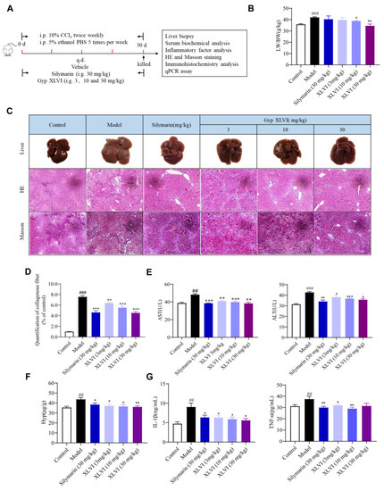 Gypenosides Synergistically Reduce the Extracellular Matrix of Hepatic ...