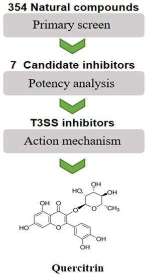 Quercitrin Is a Novel Inhibitor of Salmonella enterica Serovar ...