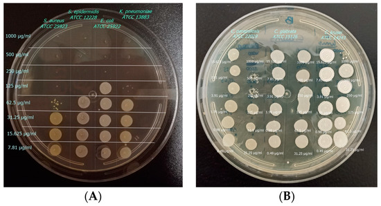 Synthesis and Antimicrobial Activity of New Mannich Bases with ...