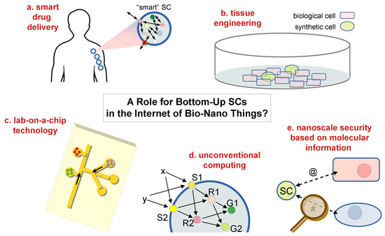 Molecules | Free Full-Text | A Role for Bottom-Up Synthetic Cells in ...