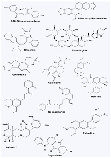 Therapeutic Role of Alkaloids and Alkaloid Derivatives in Cancer Management