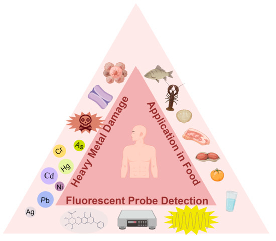Recent Progress on Fluorescent Probes in Heavy Metal Determinations for ...