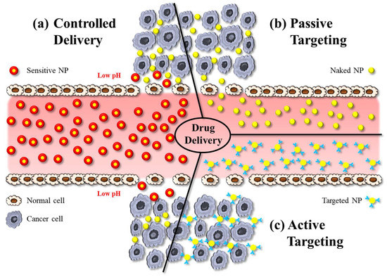 Hybrid Nanoplatforms Comprising Organic Nanocompartments Encapsulating ...