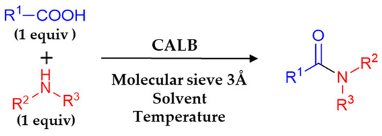 A Sustainable Green Enzymatic Method for Amide Bond Formation