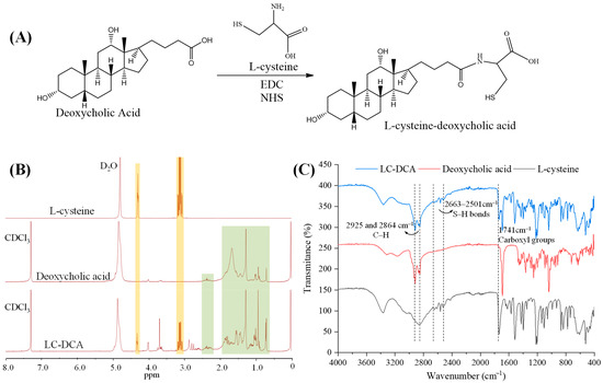 L-Cysteine-Modified Transfersomes for Enhanced Epidermal Delivery of ...