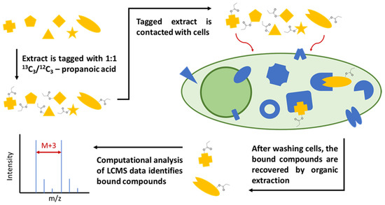 Tag and Snag: A New Platform for Bioactive Natural Product Screening ...