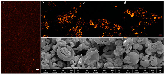 Improved Viability of Probiotics via Microencapsulation in Whey-Protein-Isolate-Octenyl-Succinic ...