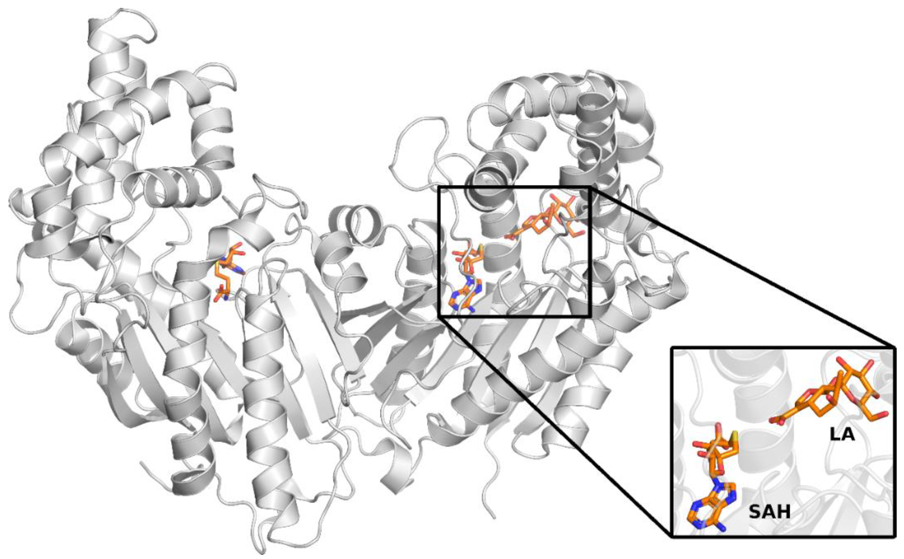 The Reaction Mechanism of Loganic Acid Methyltransferase: A Molecular ...