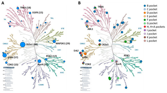 Systematic Analysis of Covalent and Allosteric Protein Kinase Inhibitors