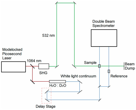 Ultrafast Transient Absorption Spectra and Kinetics of Rod and Cone ...