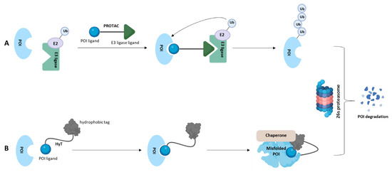 Privileged Scaffolds for Potent and Specific Inhibitors of Mono-ADP ...