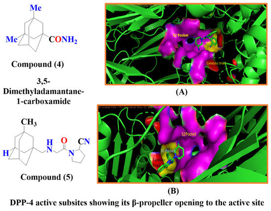 Insight into Structure Activity Relationship of DPP-4 Inhibitors for ...