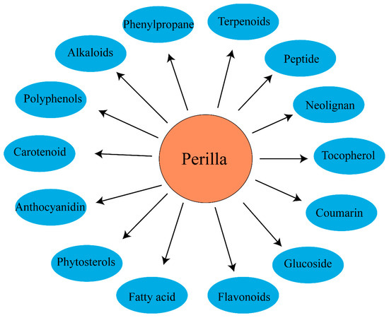 The Role and Mechanism of Perilla frutescens in Cancer Treatment