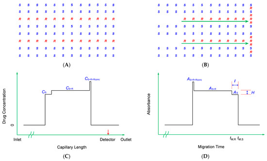 Molecules | Free Full-Text | Copper (II) Ions Induced Self ...