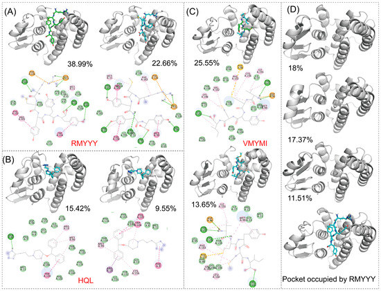 Computer-Aided Designing Peptide Inhibitors of Human Hematopoietic ...