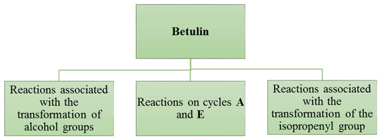 Methods of Analysis and Identification of Betulin and Its Derivatives