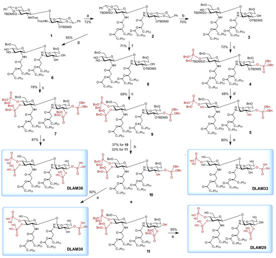 Exploring Species-Specificity in TLR4/MD-2 Inhibition with Amphiphilic ...