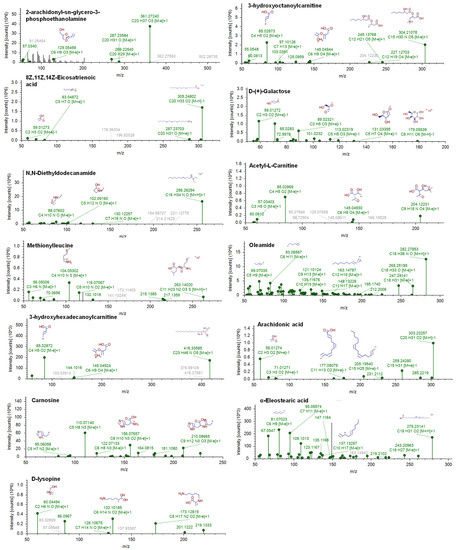 Analysis of Pork in Beef Sausages Using LC-Orbitrap HRMS Untargeted ...