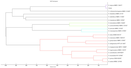 Streptomyces iakyrus TA 36 as First-Reported Source of Quinone ...