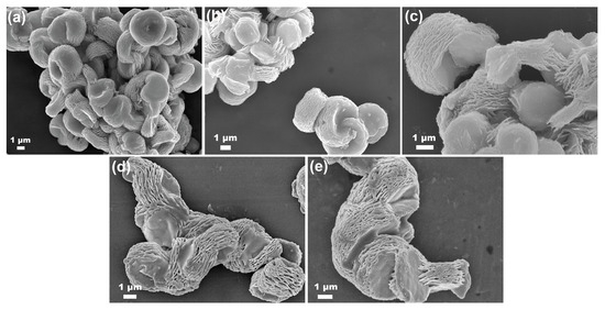Enhanced Oxygen Storage Capacity of Porous CeO2 by Rare Earth Doping