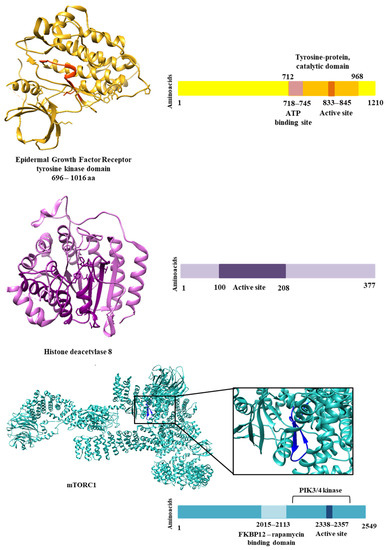 Virtual Screening of Different Subclasses of Lignans with Anticancer ...