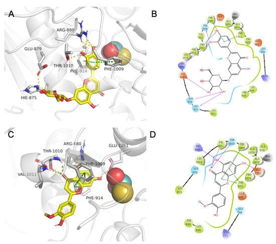 Identification of Xanthine Oxidase Inhibitors from Celery Seeds Using ...