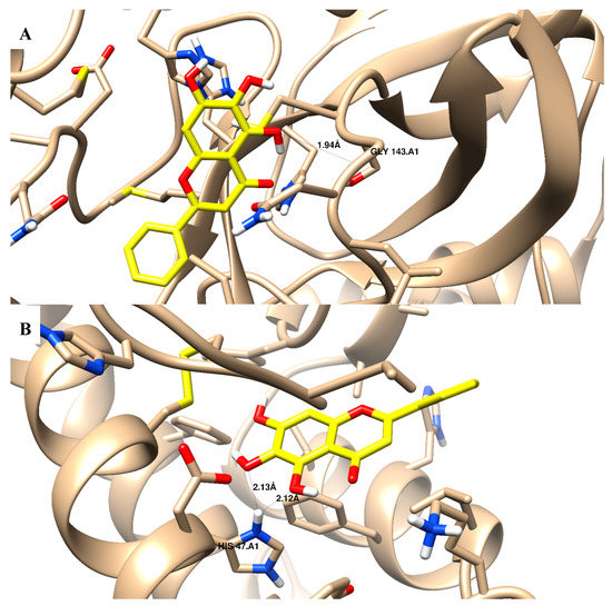 Structure Activity Relationship and Molecular Docking of Some ...
