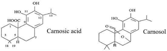 Molecules | Free Full-Text | The Use of Ultrasound-Assisted Maceration ...
